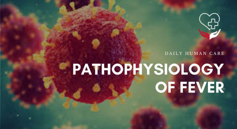 Fever And Pathophysiology Of Fever | 2022 - Daily Human Care