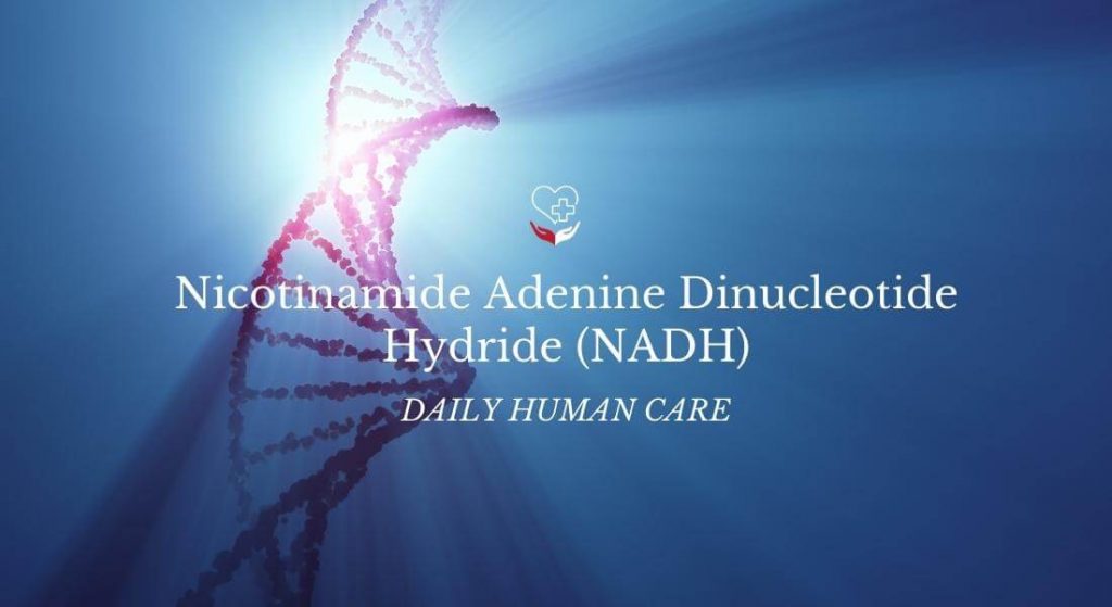 Nicotinamide Adenine Dinucleotide Hydride (NADH): What Is It? | 2022 ...